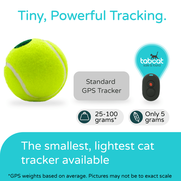 Tabcat Cat Tracker. Better Than GPS Trackers for Cats – Tabcat US