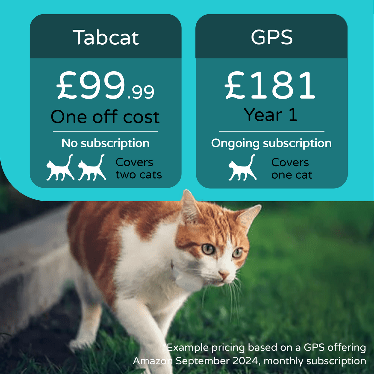 Tabcat Tracker – Tabcat Tracker UK