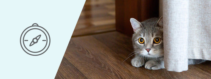 Tabcat Cat Tracker V2 - The Smart Way to Keep Your Feline Safe and ...