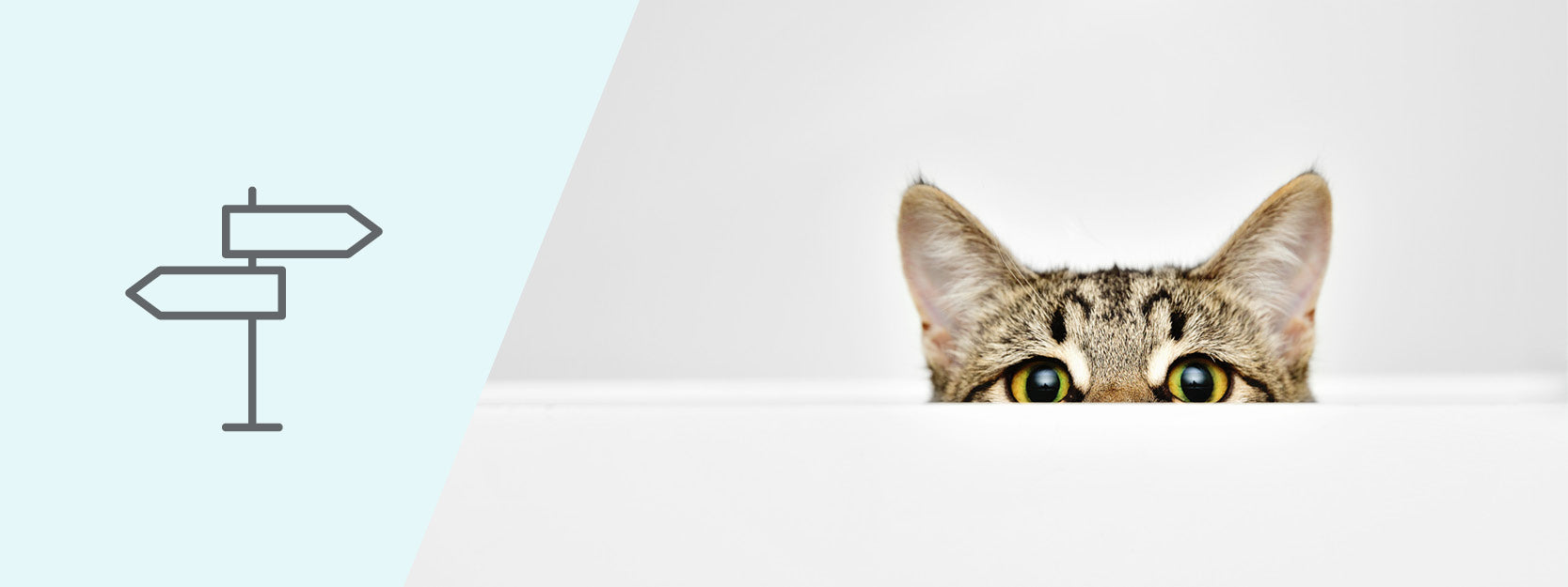 Tabcat Cat Tracker Features - Better than GPS Cat Trackers – Tabcat US